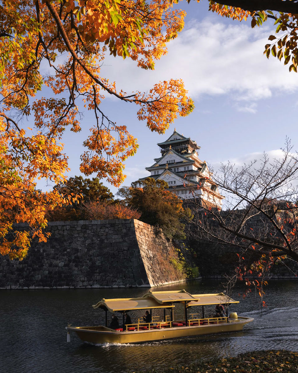 輝く黄葉の表現 Edit Photoshop Lightroom