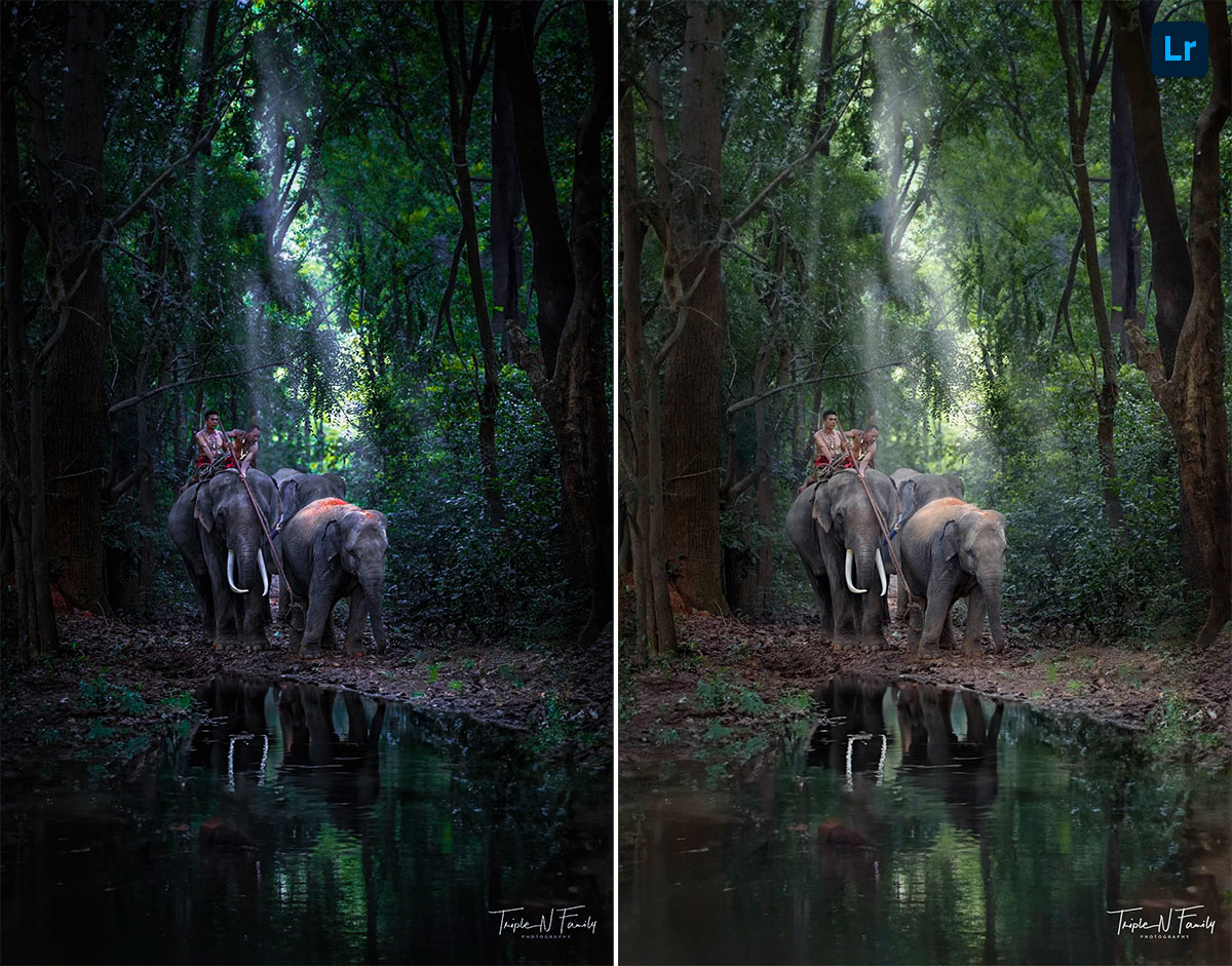 This is the way of the mahout that | Edit | Photoshop Lightroom
