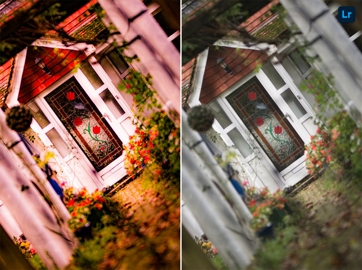 Autumn again | Remix | Photoshop Lightroom