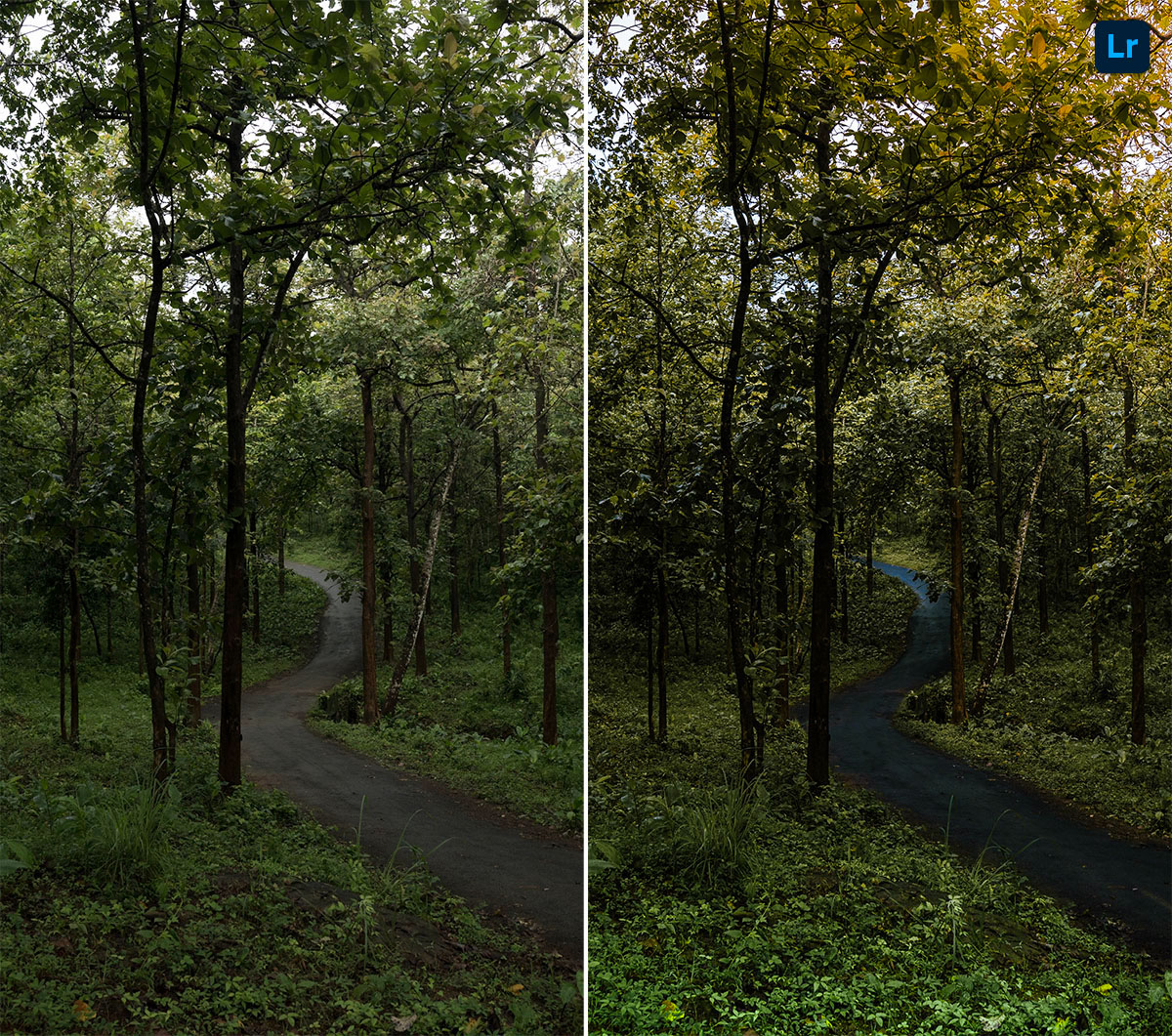 Paths | Edit | Photoshop Lightroom