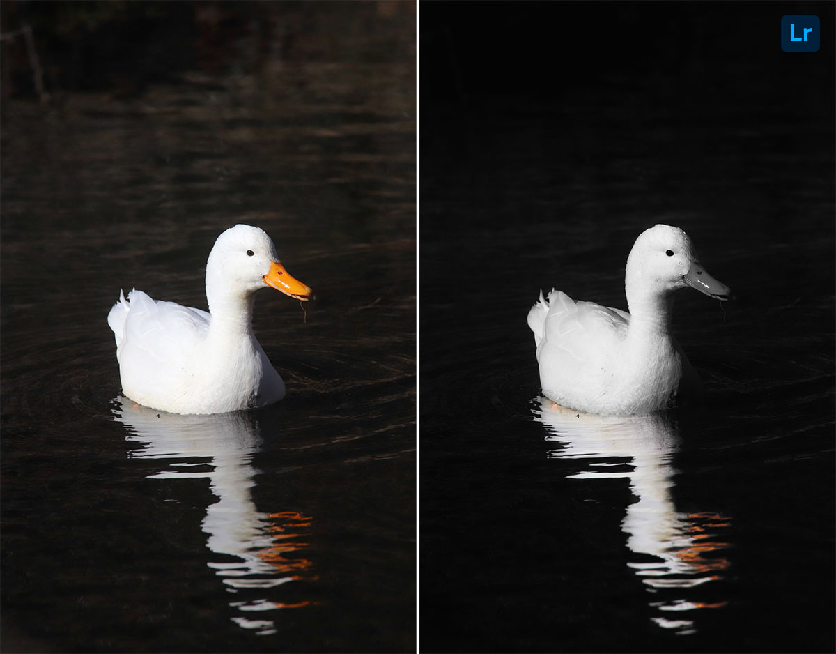Reflection.. | Edit | Photoshop Lightroom