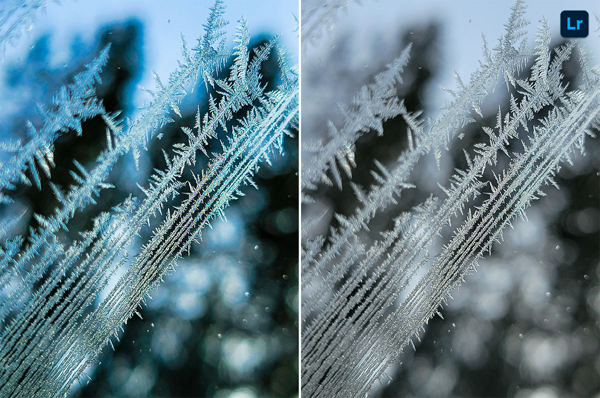 Frost | Edit | Photoshop Lightroom