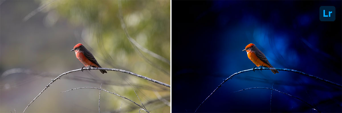 Linear gradient and LR | Remix | Photoshop Lightroom