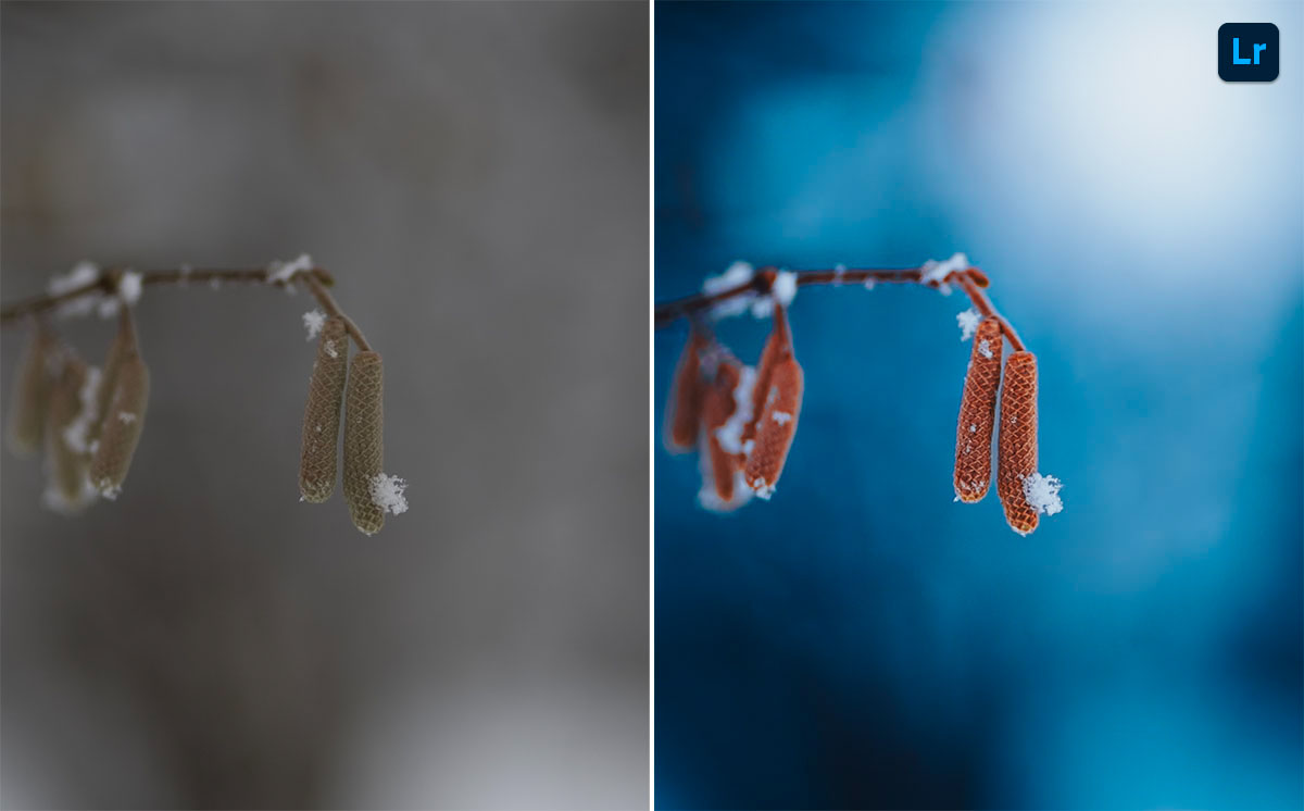 Winter Touch | Edit | Photoshop Lightroom