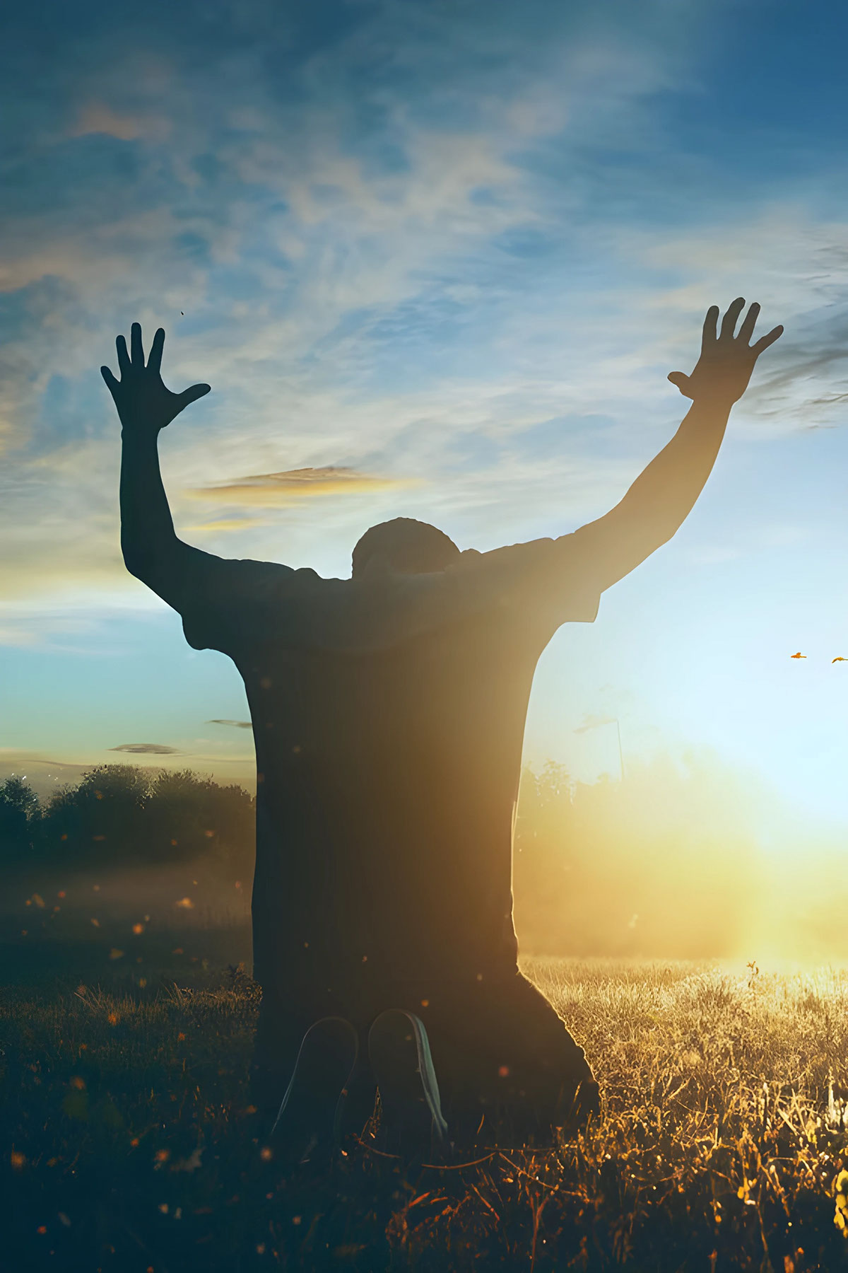 The Holy Spirit Creative Direction on Behance :: Behance