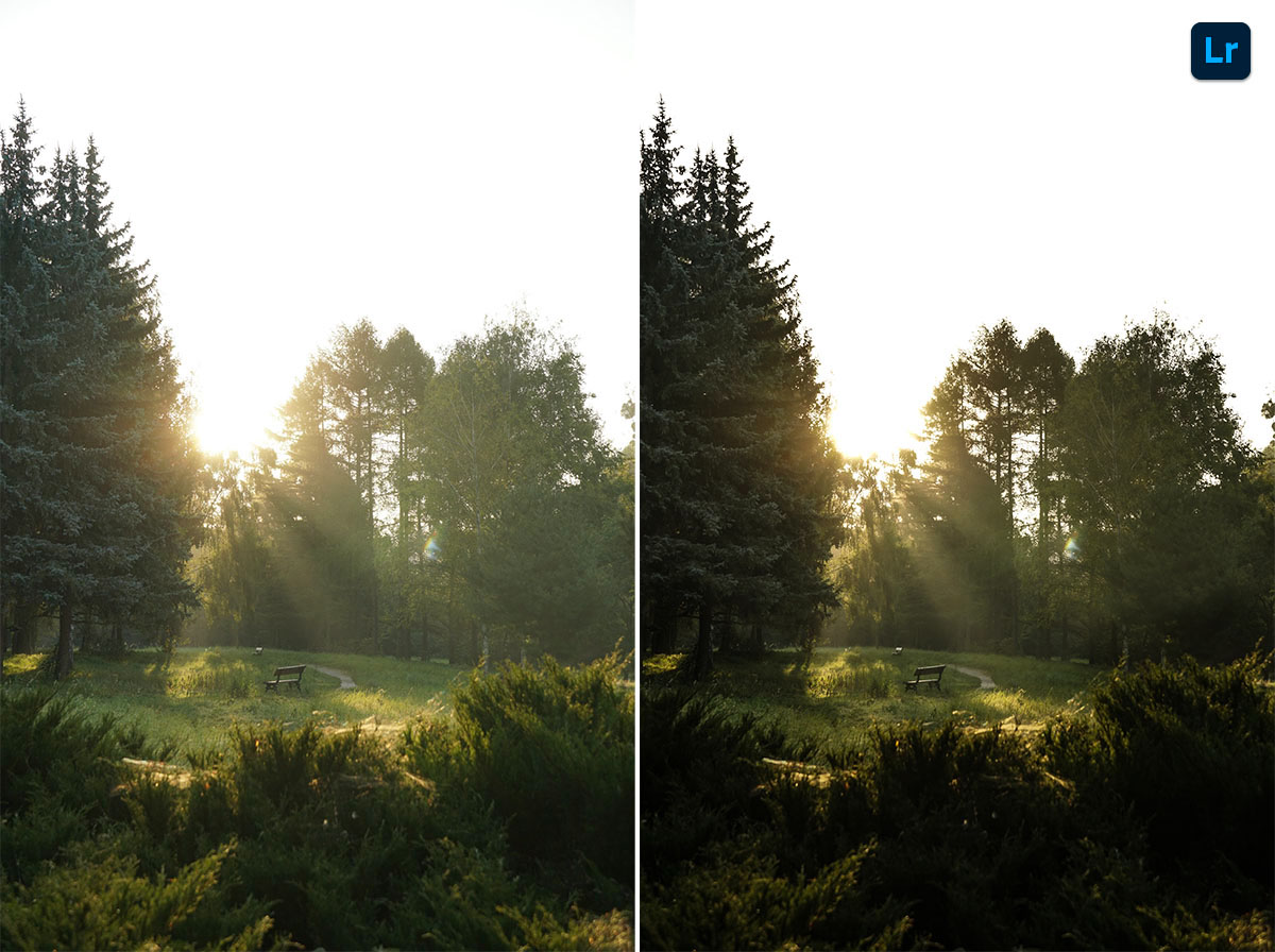 Morning | Remix | Photoshop Lightroom