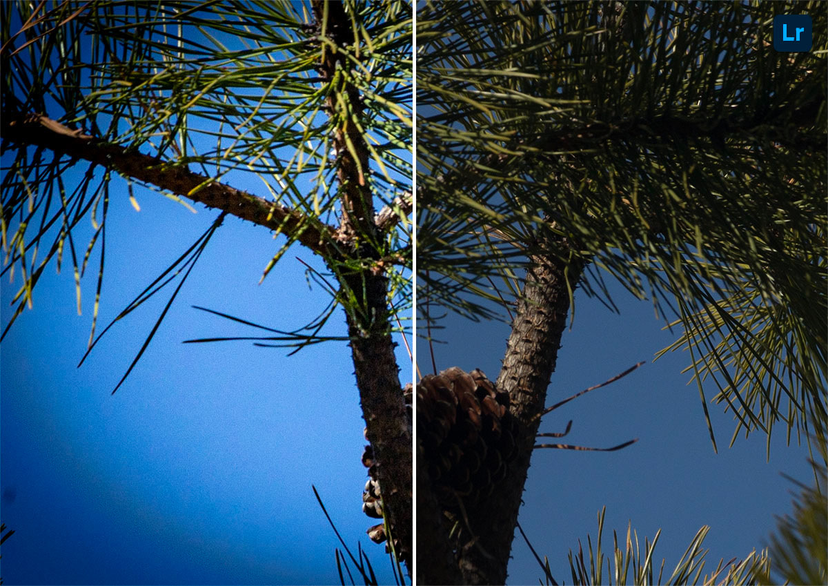 Harkened In The Nacelle Of Time | Edit | Photoshop Lightroom