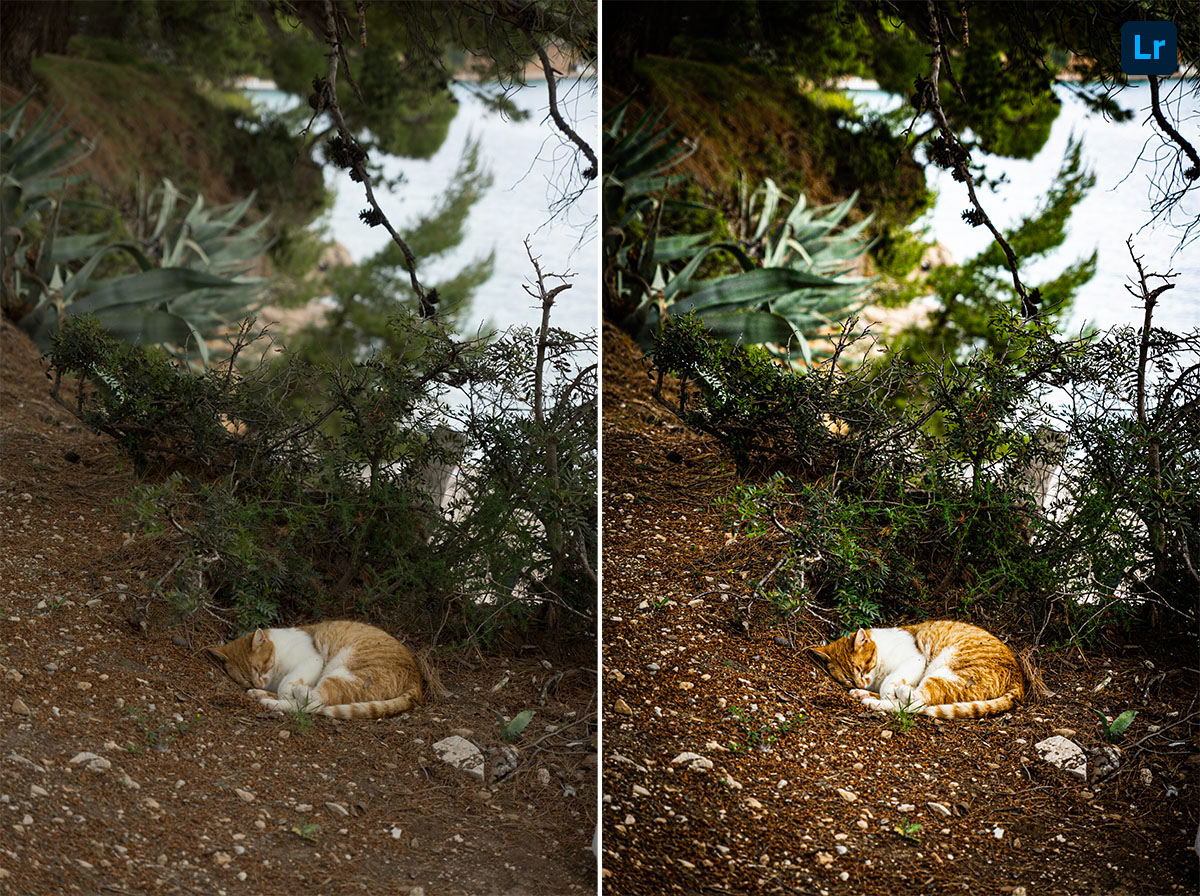 sleep | Edit | Photoshop Lightroom