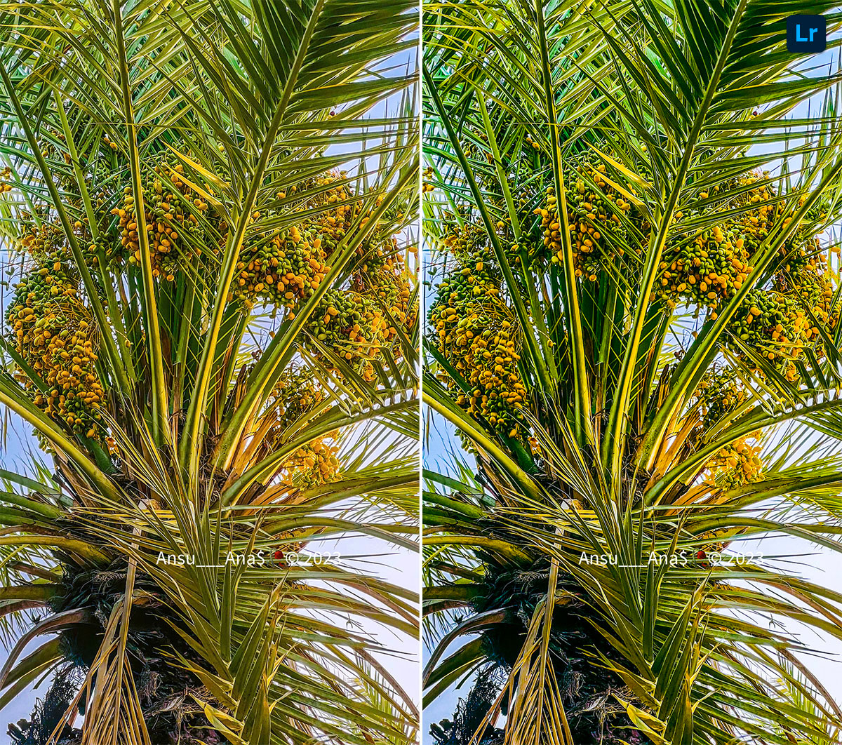 Dates🌴 | Edit | Photoshop Lightroom
