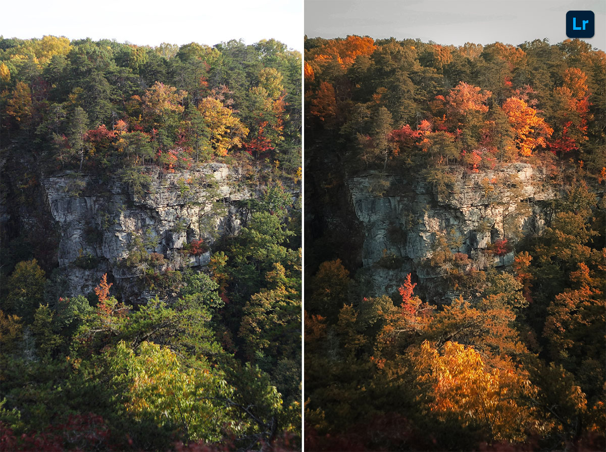 Fallscape | Edit | Photoshop Lightroom