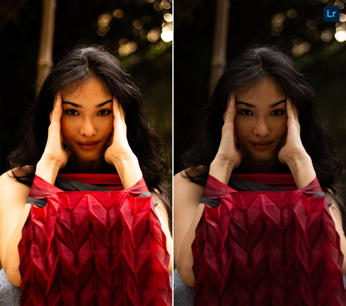 v. | Remix | Photoshop Lightroom