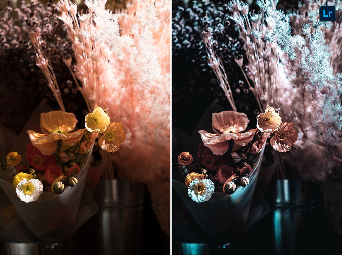 whats the buzz? | Remix | Photoshop Lightroom