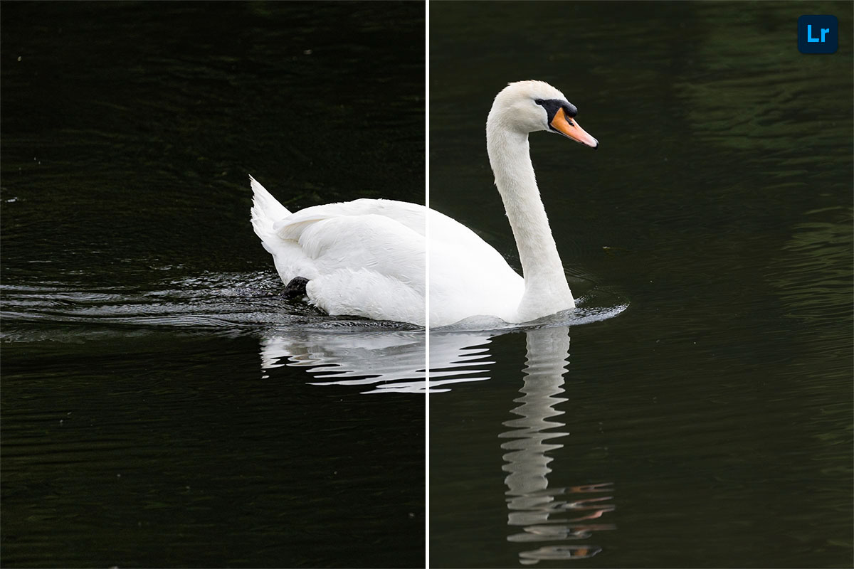 Just Floating Around | Edit | Photoshop Lightroom