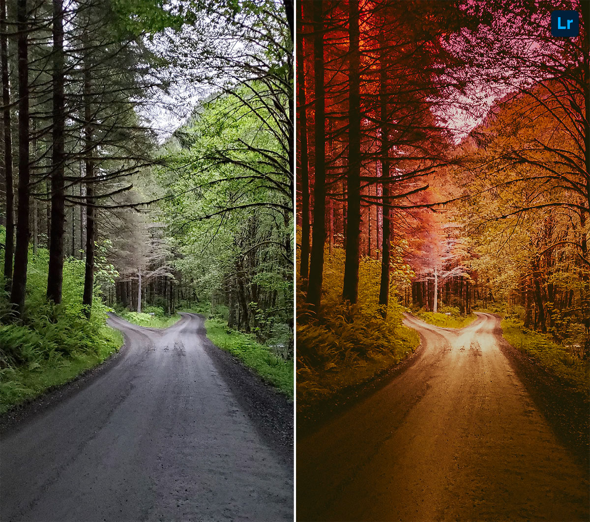 Lost | Edit | Photoshop Lightroom