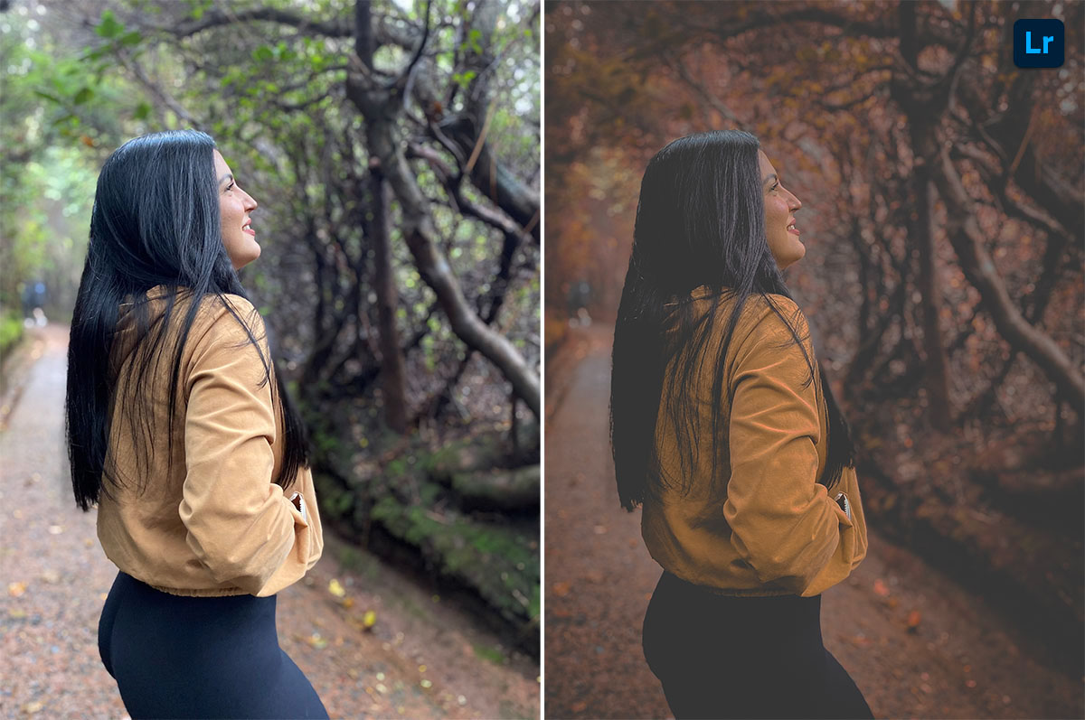 Retrato paisaje | Remix | Photoshop Lightroom