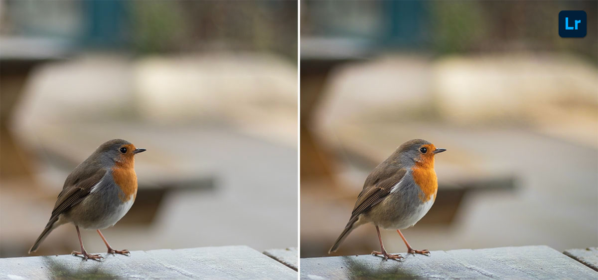 ROB | Remix | Photoshop Lightroom