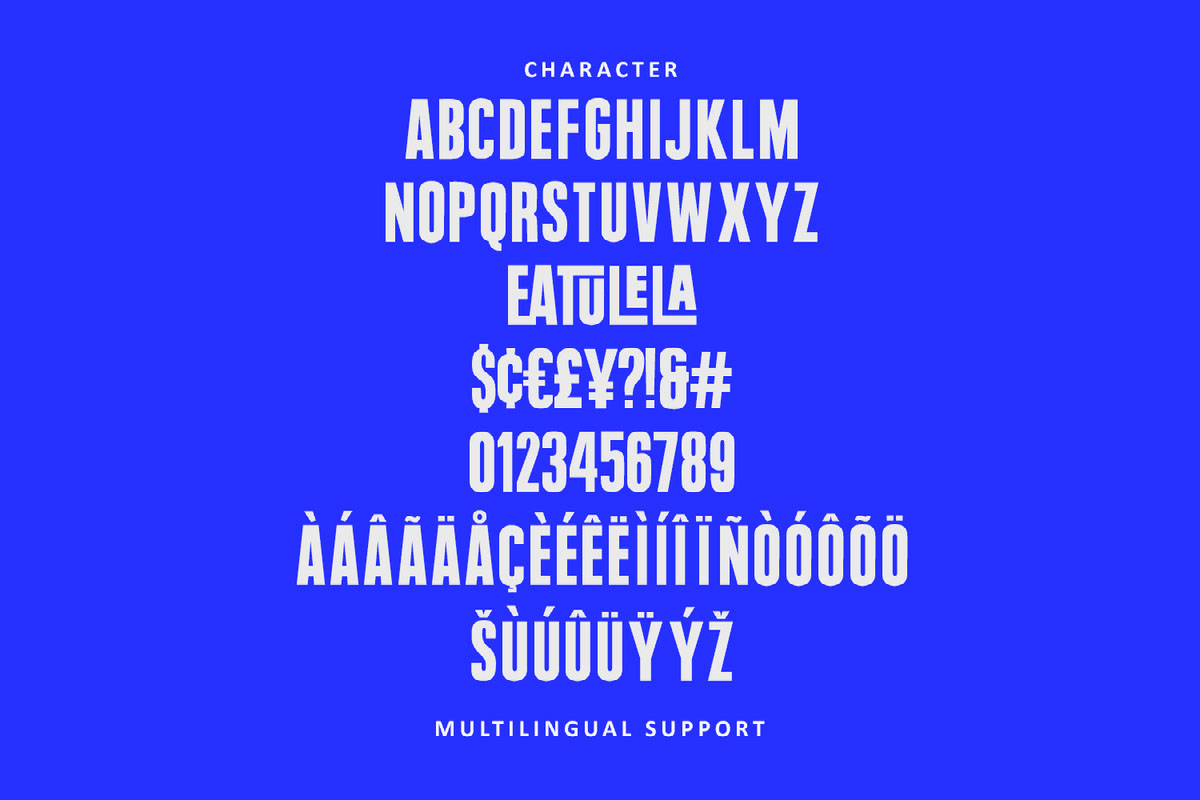 Cleumo Berlou High Stem Sans Serif Display Font on Behance :: Behance