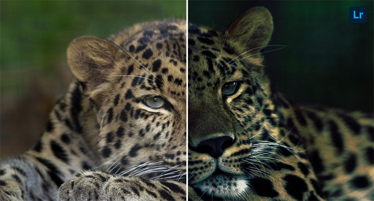 jag | Edit | Photoshop Lightroom