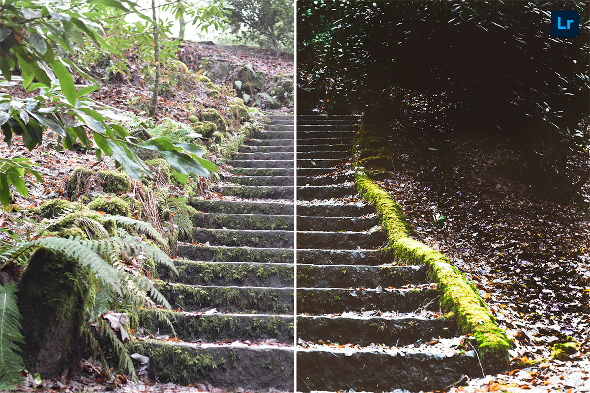 Trail Steps Remix Photoshop Lightroom