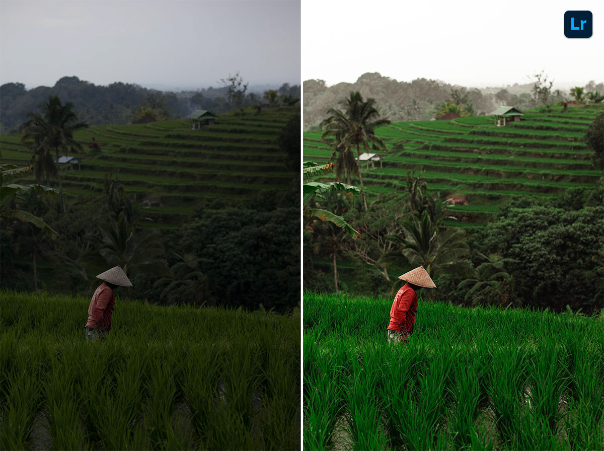 Jatiluwih Rice Fields | Edit | Photoshop Lightroom