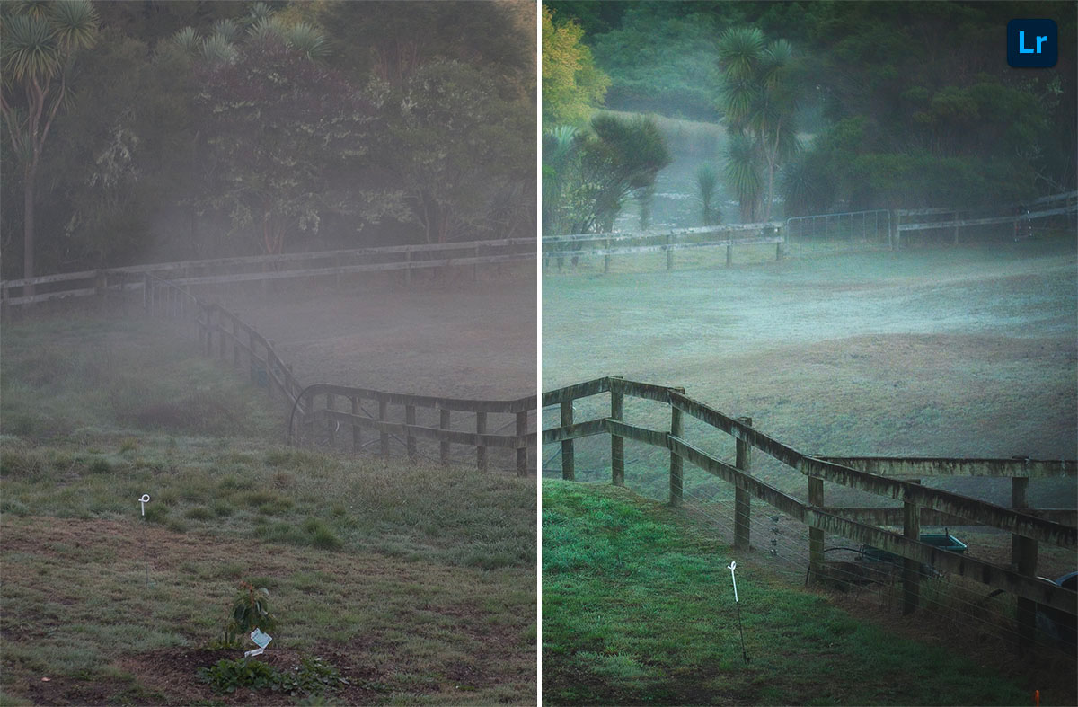 Foggy morning | Edit | Photoshop Lightroom