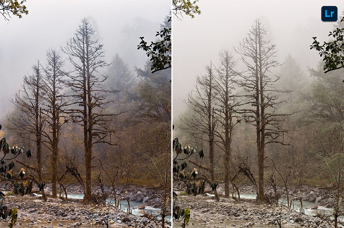 into the nature | Edit | Photoshop Lightroom