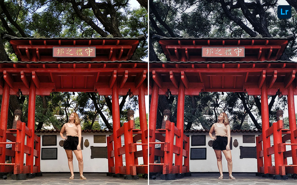 Japanese Arc | Edit | Photoshop Lightroom