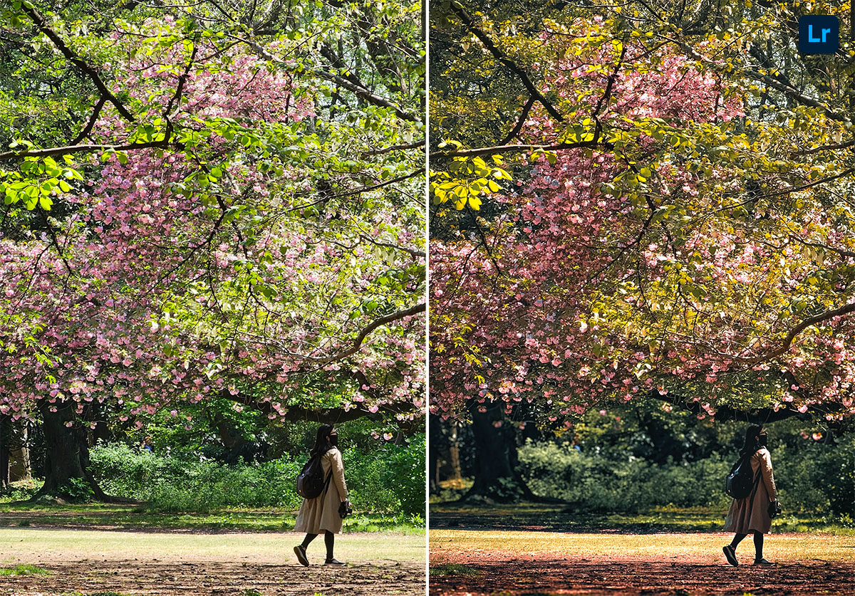 Looking for the good spot! | Edit | Photoshop Lightroom