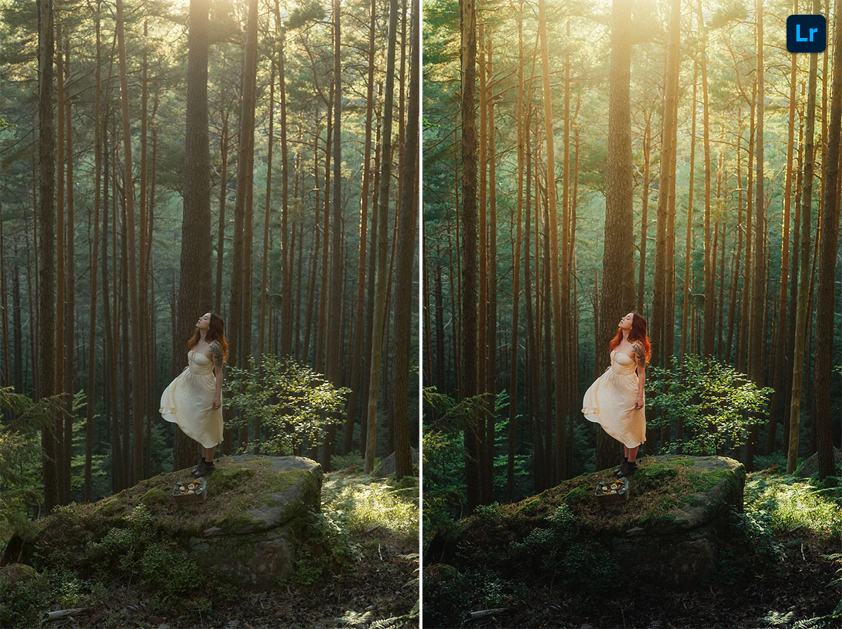 Armonie avec la forêt | Edit | Photoshop Lightroom