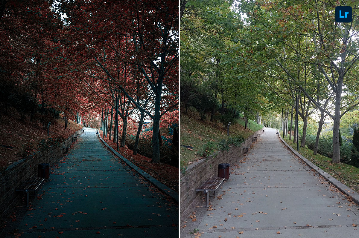 autumn🍂🍁🤎 | Remix | Photoshop Lightroom