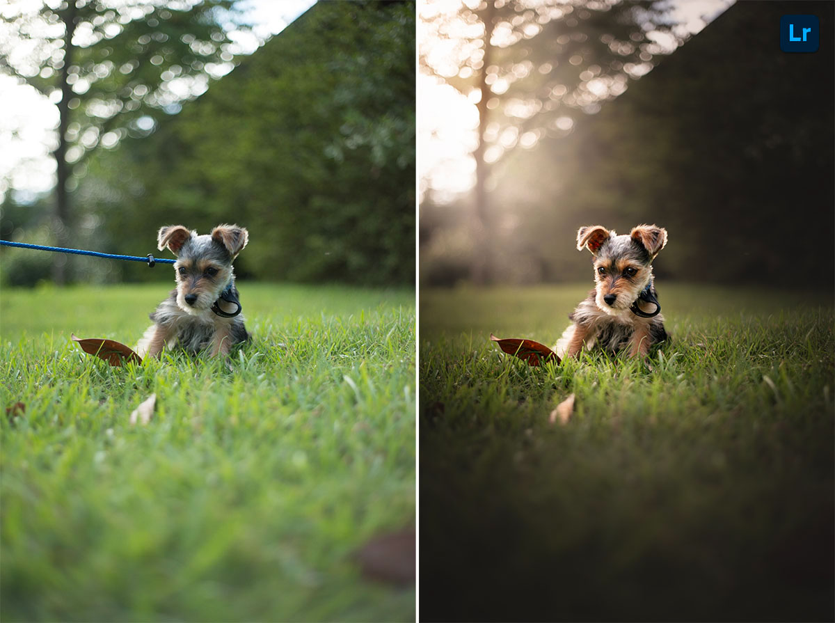 Luca | Edit | Photoshop Lightroom