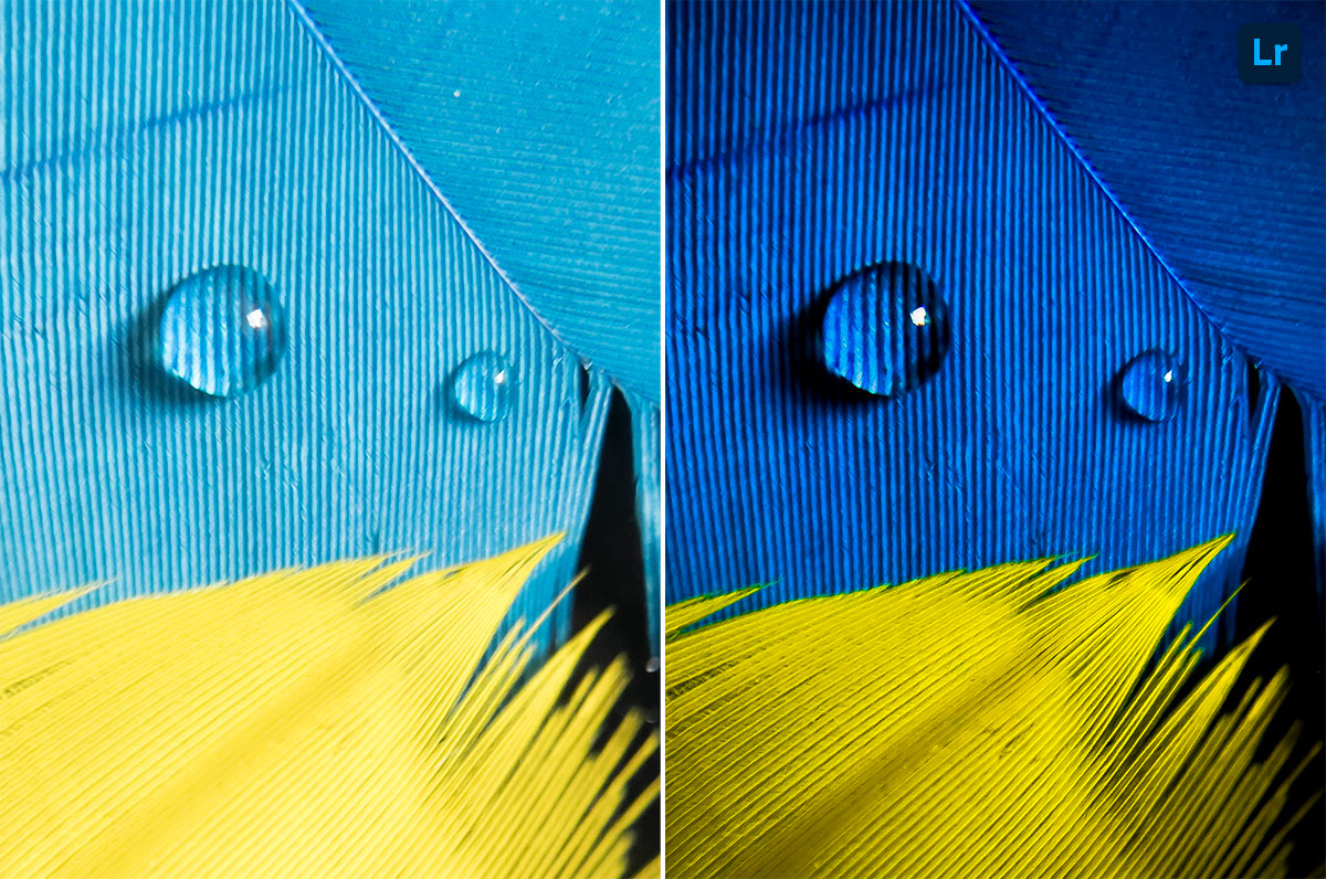 High Intensity | Edit | Photoshop Lightroom