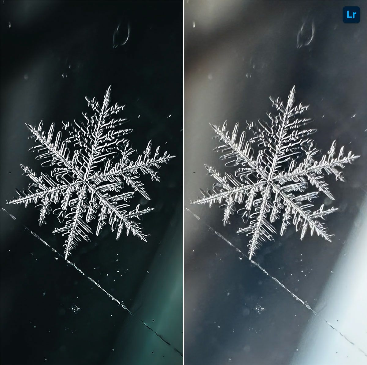 Snow flake | Edit | Photoshop Lightroom