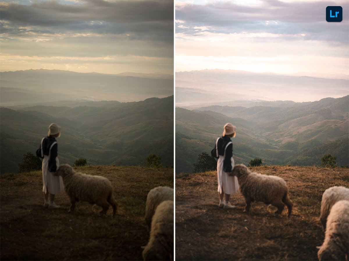 Morning light! | Edit | Photoshop Lightroom