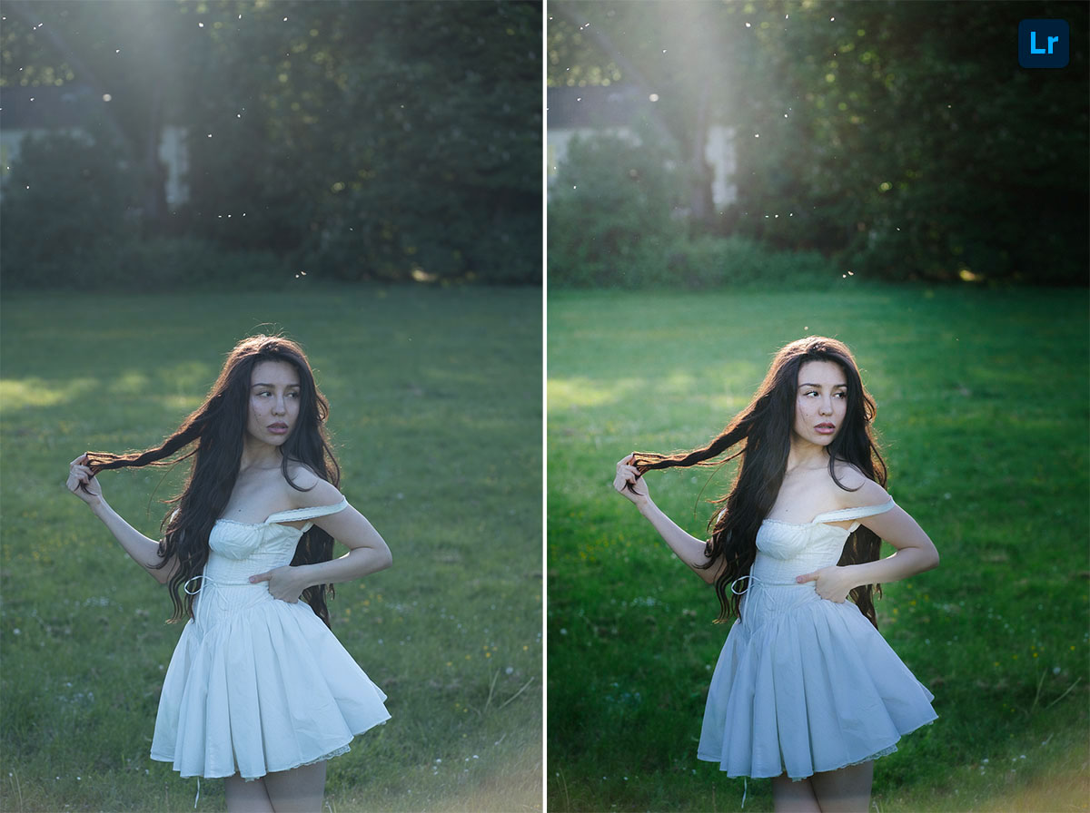 Coco | Edit | Photoshop Lightroom