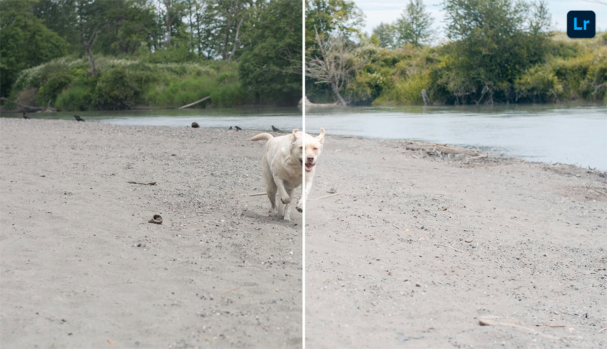 Stella- Lab | Edit | Photoshop Lightroom