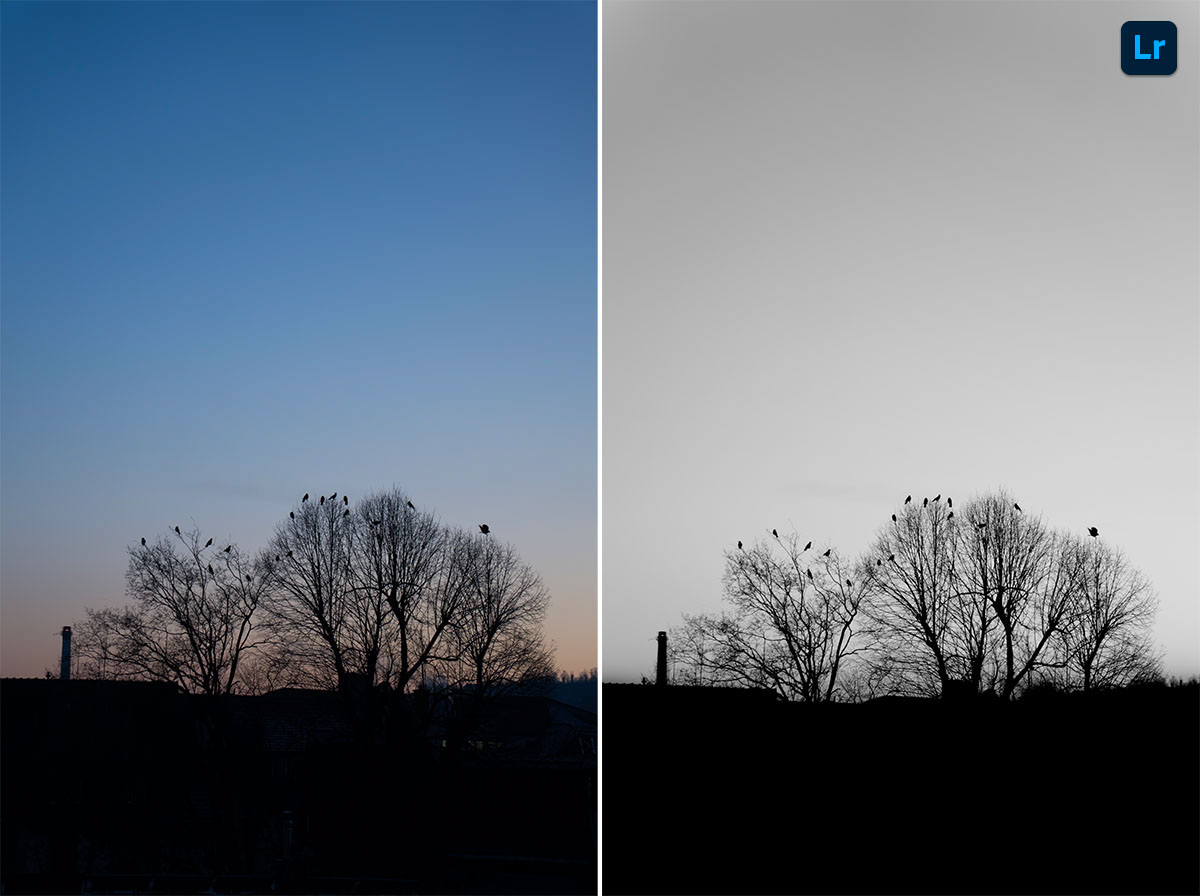 Birds after work | Edit | Photoshop Lightroom