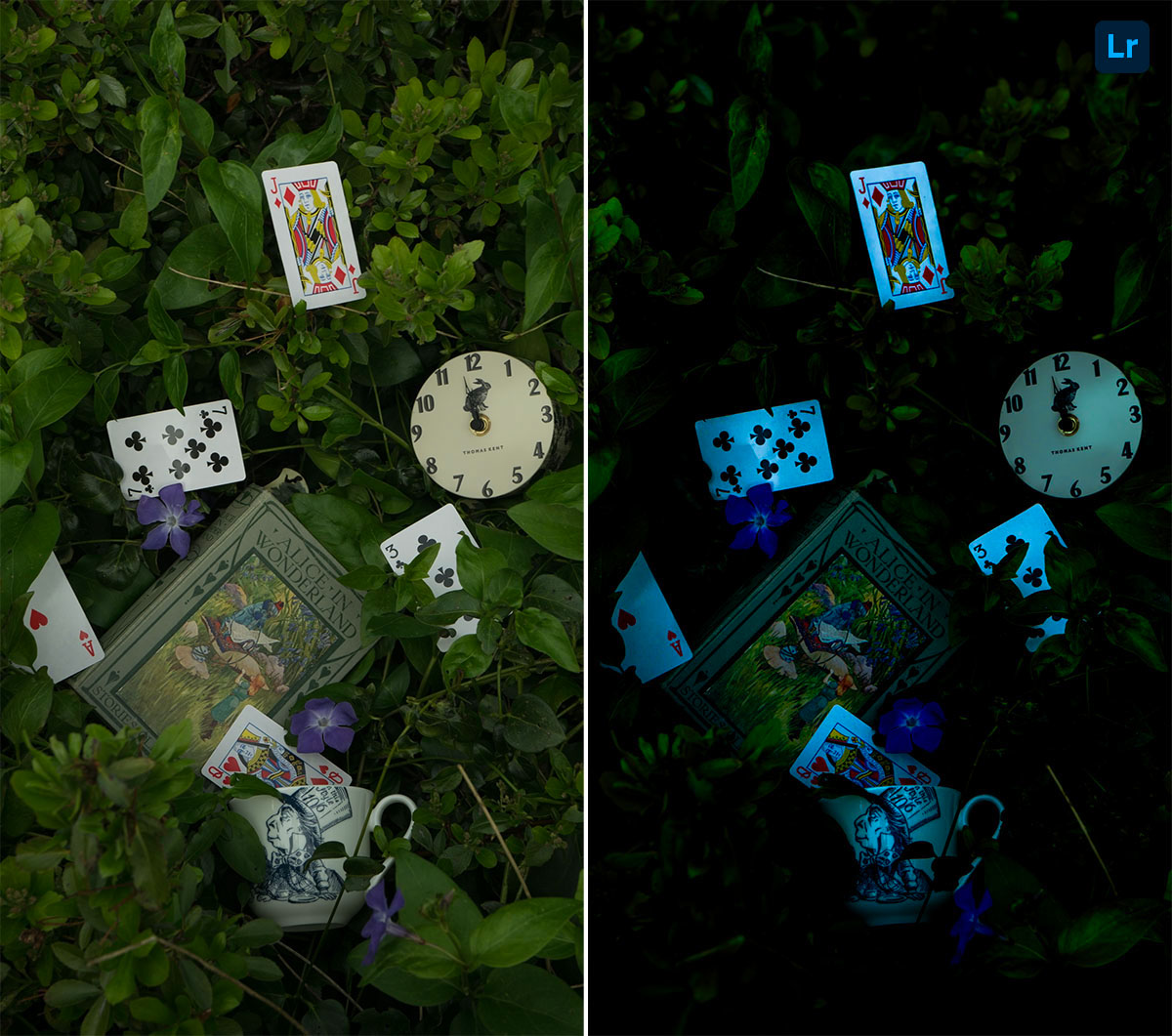Alice In Wonderland Book Tribute | Remix | Photoshop Lightroom