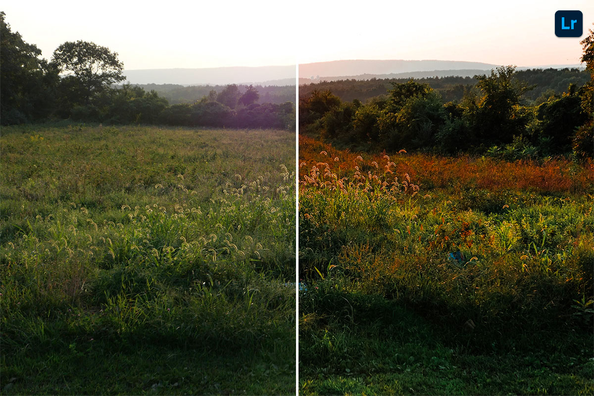 Golden Hour | Edit | Photoshop Lightroom