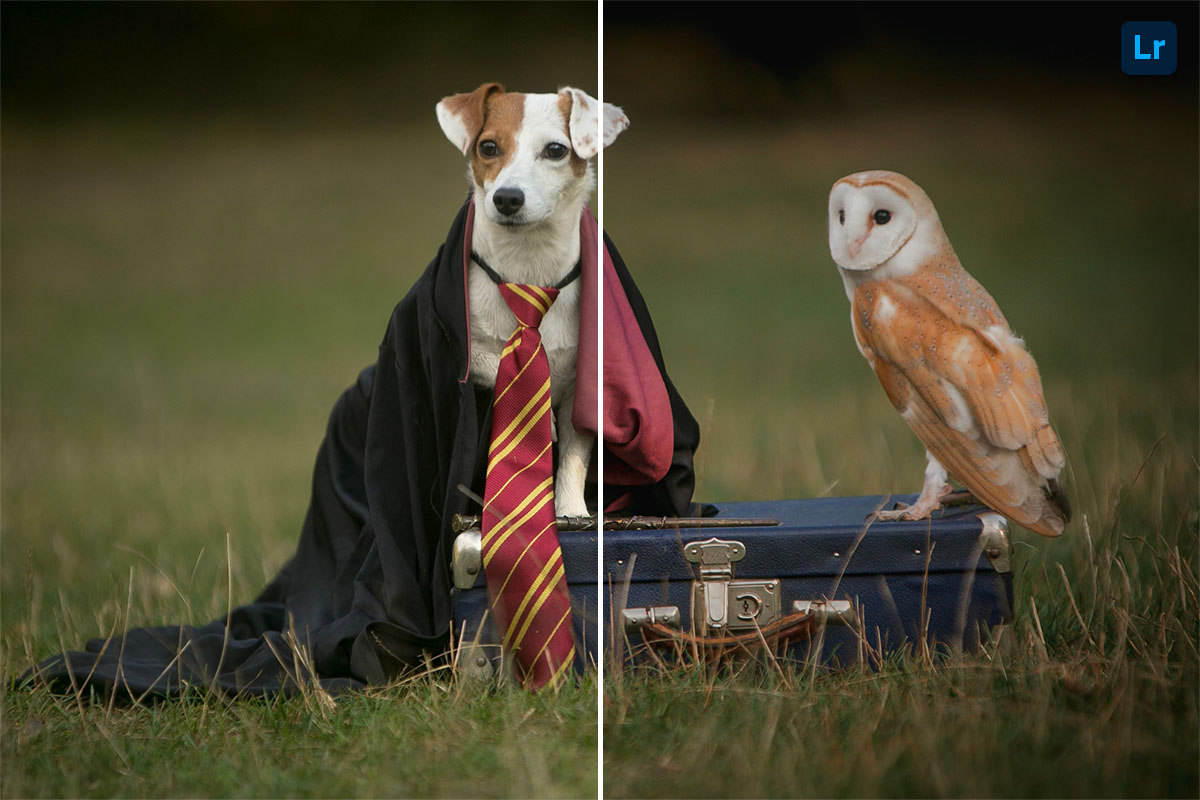 Jerry Potter😁 | Remix | Photoshop Lightroom