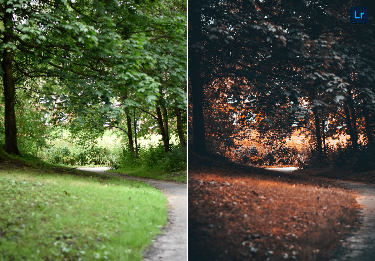 Park | Edit | Photoshop Lightroom