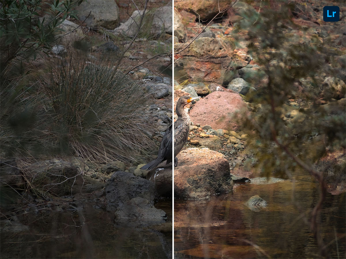 Waiting | Edit | Photoshop Lightroom