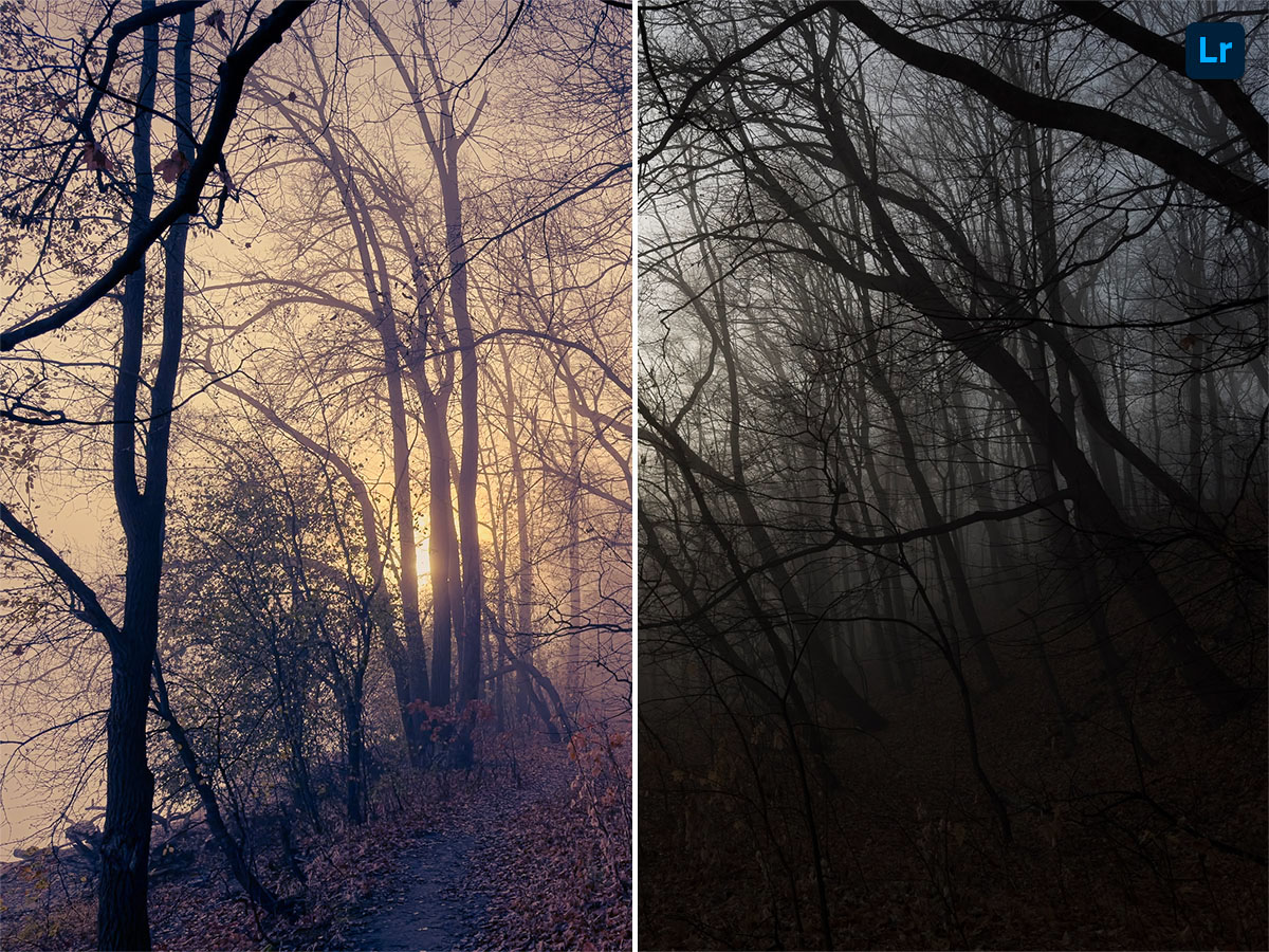 Magic Morning | Edit | Photoshop Lightroom
