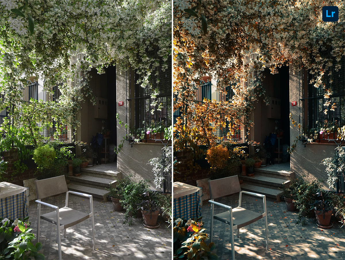 garden garden | Edit | Photoshop Lightroom