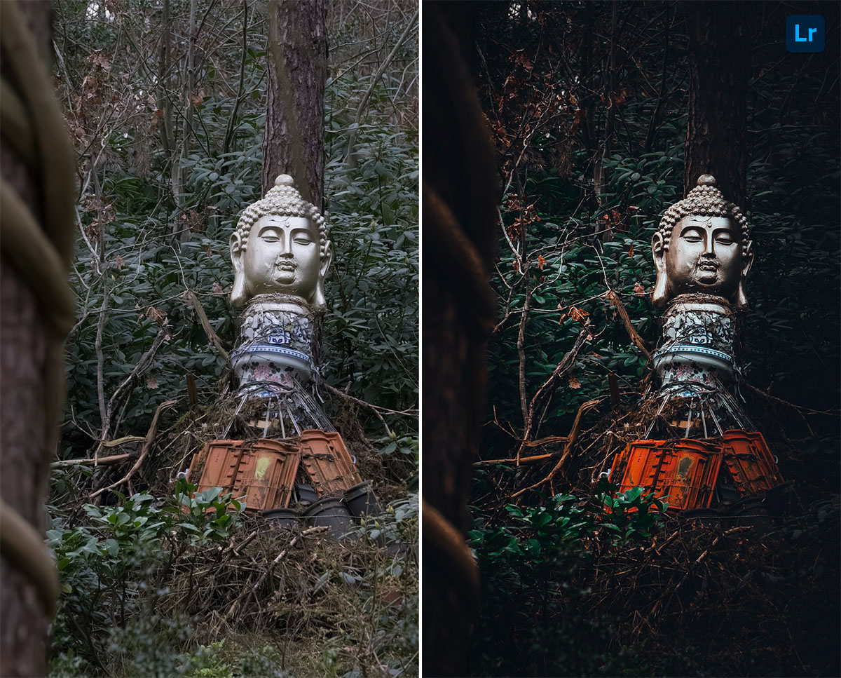 Buddha | Edit | Photoshop Lightroom