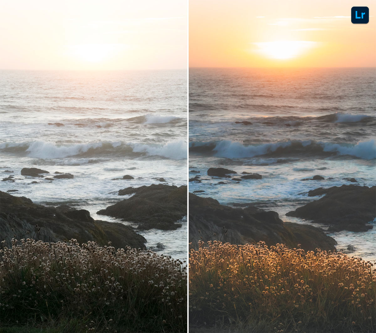 Pacific Blooms | Edit | Photoshop Lightroom