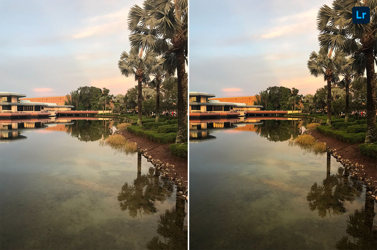 Disney | Edit | Photoshop Lightroom