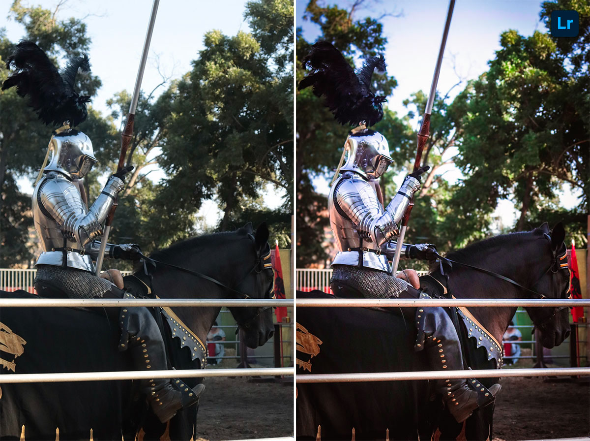 Ren Fair Knight | Edit | Photoshop Lightroom