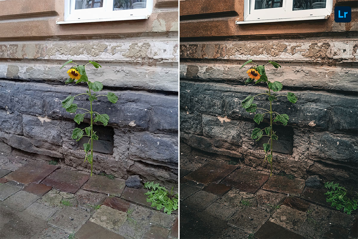 Wall | Edit | Photoshop Lightroom