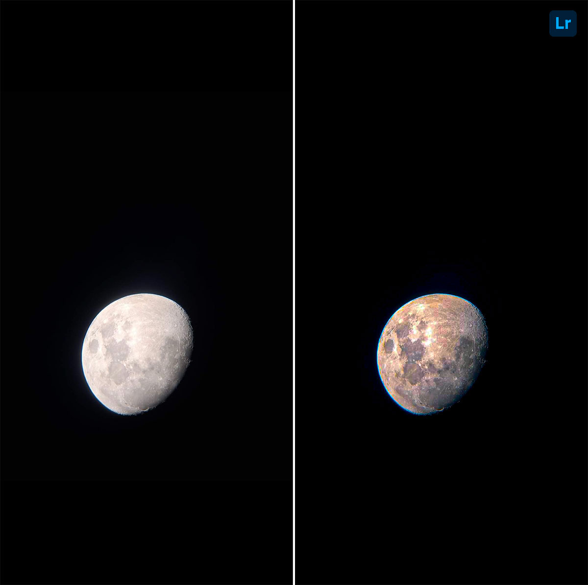 Waxing gibbons | Edit | Photoshop Lightroom